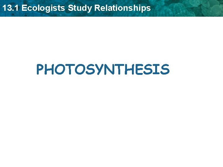 13 1 Ecologists Study Relationships PHOTOSYNTHESIS 4 2