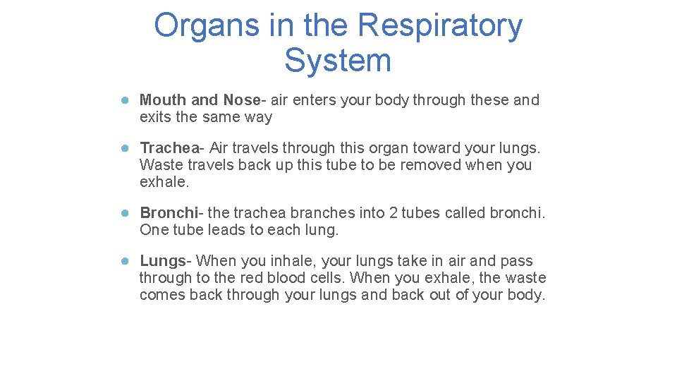 Respiratory System Respiratory System Vocabulary respiratory system takes