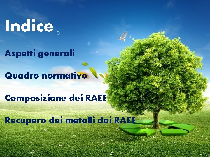 Indice Aspetti generali Quadro normativo Composizione dei RAEE