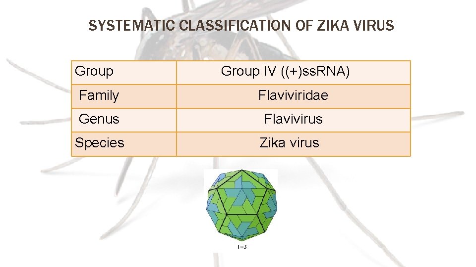Zika Virus Prof Dr Abdelraouf A Elmanama Medical