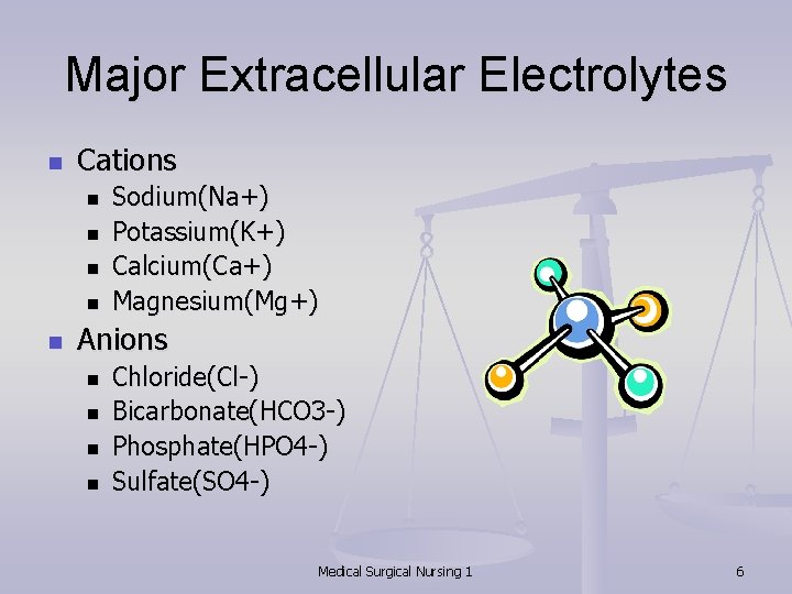 Basic Principles of Fluid Electrolyte and Acid Base