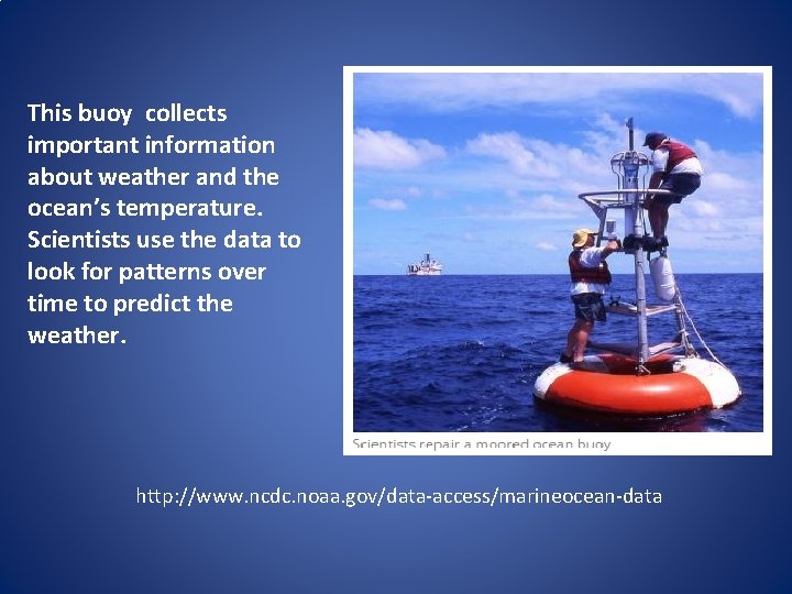 What is a buoy buoy bo o boi