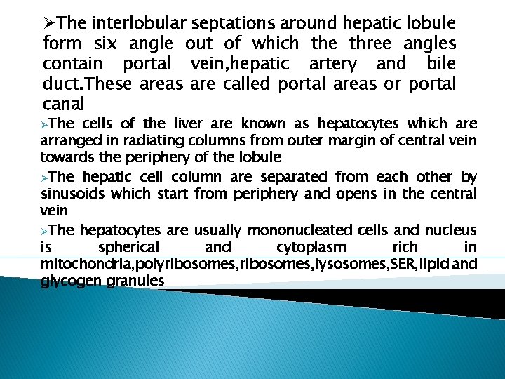 Histology of pancreas and liver Pancreas It is