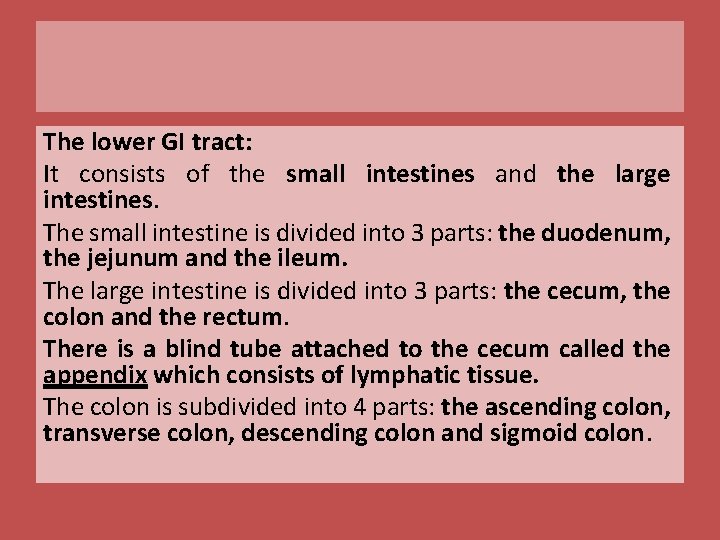 Medical terminology The Digestive System Dr Fadia Alkhayat