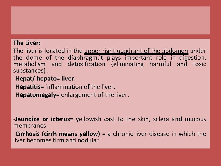 Medical terminology The Digestive System Dr Fadia Alkhayat