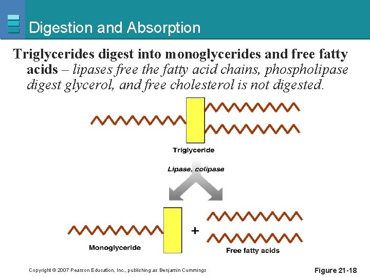 POWERPOINT LECTURE SLIDE PRESENTATION by LYNN CIALDELLA MBA
