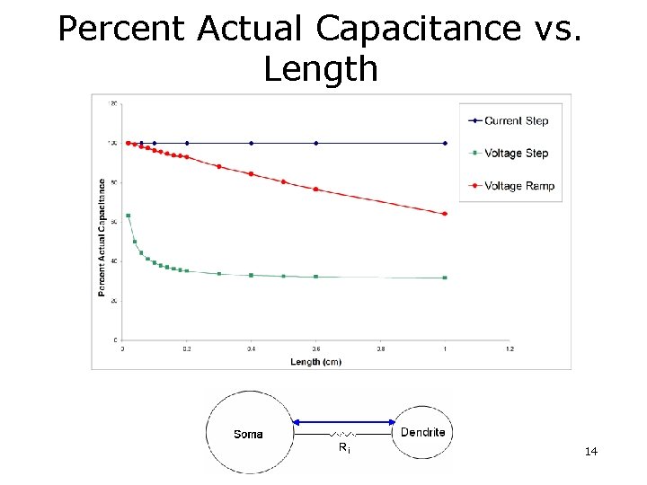 The Measurement of Cell Capacitance in Multicompartment Cells
