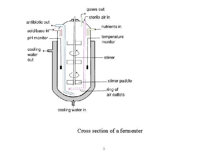 What is a Fermenter Vessel or tank in