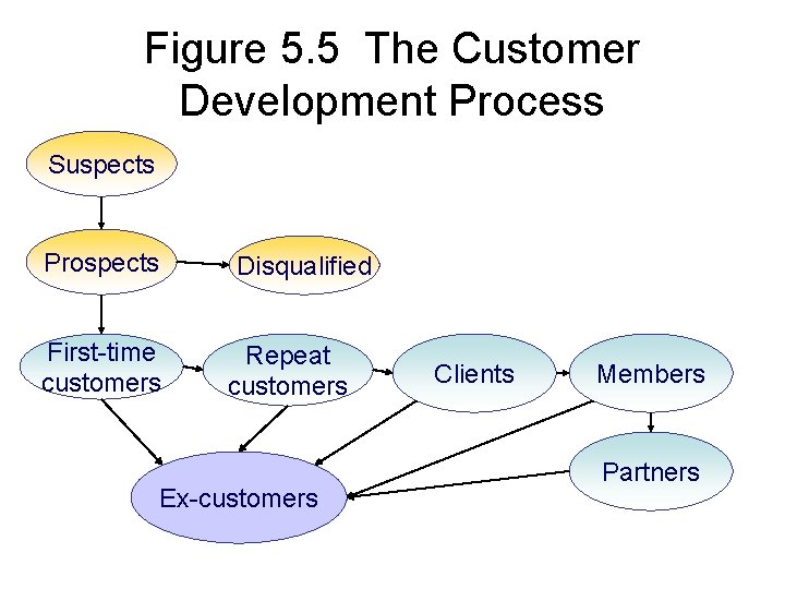 Maximizing Customer Lifetime Value Customer Profitability Customer Equity