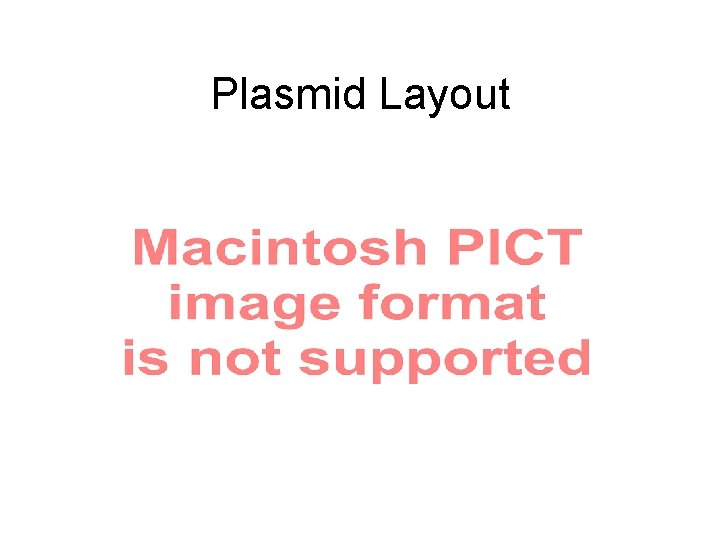 Synthetic Biology Lecture 2 Fundamentals of Synthetic Biology