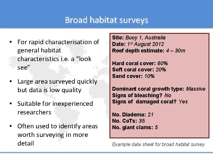 WALLACE RESOURCE LIBRARY Lecture 05 How to Survey