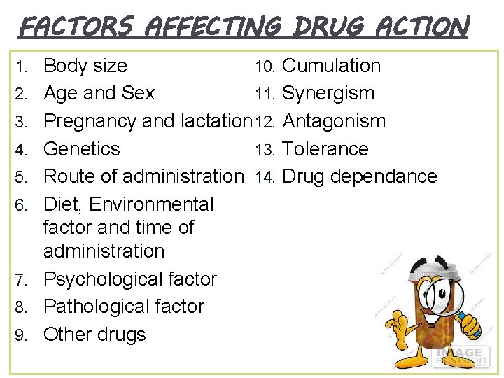 FACTORS AFFECTING DRUG ACTION Dr Megha Rani N