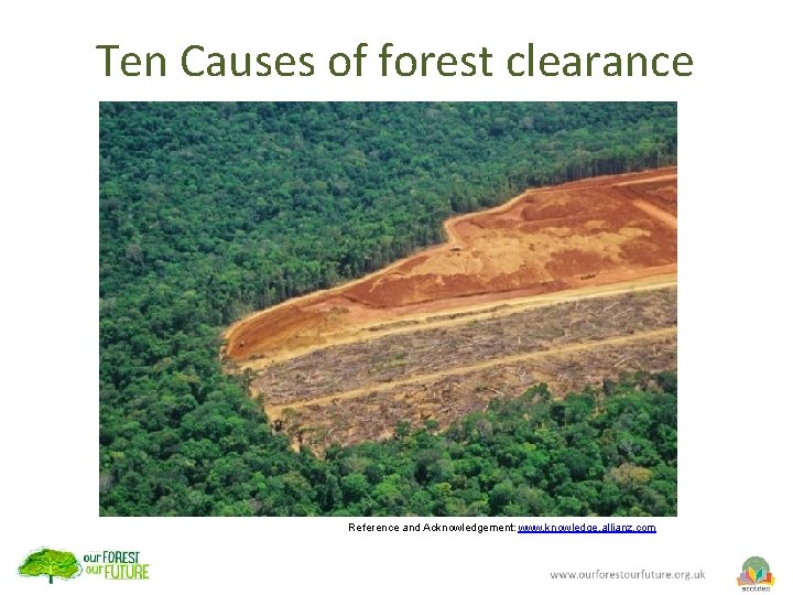 Ten Causes of forest clearance Reference and Acknowledgement