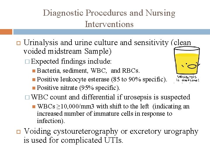 URINARY TRACT INFECTION UTI Key Points Urine is