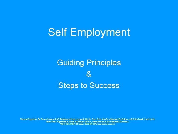 Self Employment Guiding Principles Steps to Success Financial