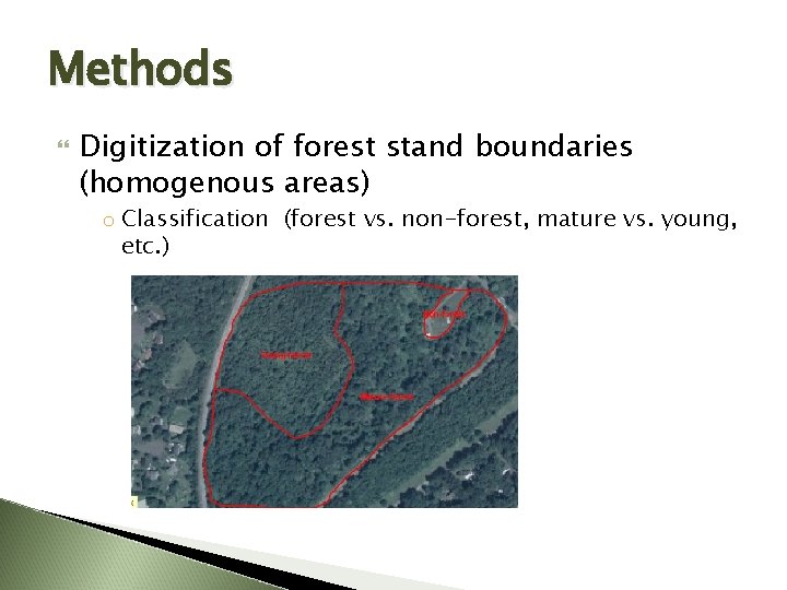 Spatial Mapping of Forest Aboveground Biomass ABG using