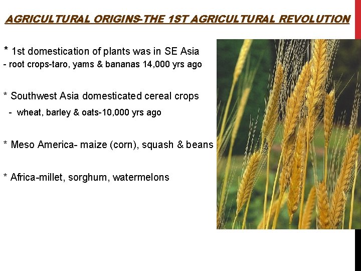 CROP HEARTHS Agriculture originated in multiple hearths around