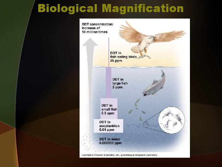 Chapter 3 The Biosphere Section 3 1 What