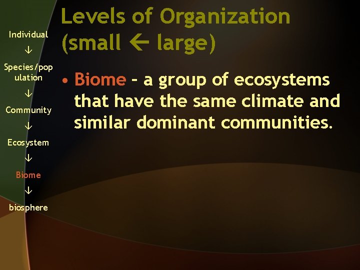 Chapter 3 The Biosphere Section 3 1 What