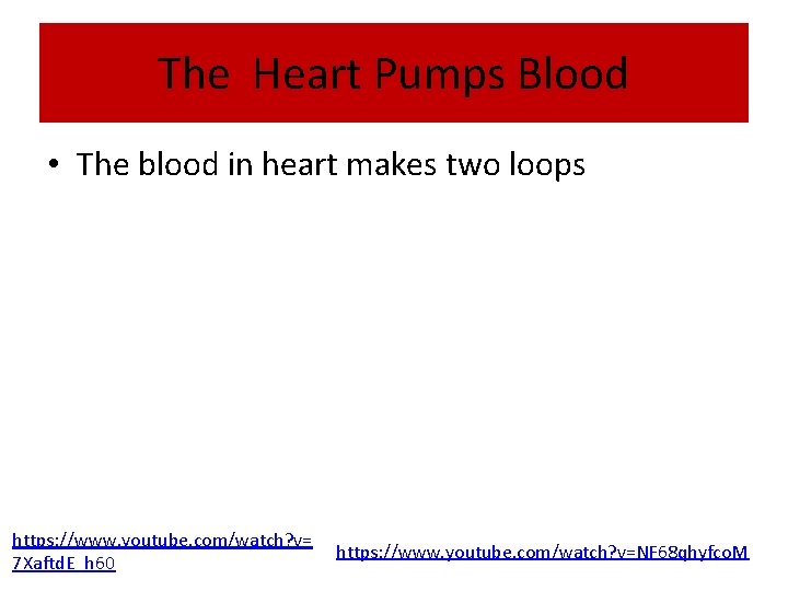 Circulatory System Blood and Lymph Systems Cardiovascular System