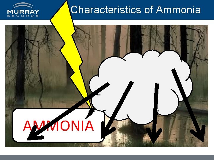 Ammonia Safety Presented By John S Hillard CSP