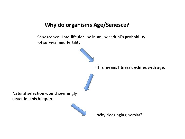Evolution of Aging and Other Life History Characteristics