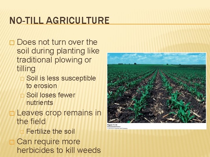 HUMAN NUTRITION 10 000 years ago Humans were
