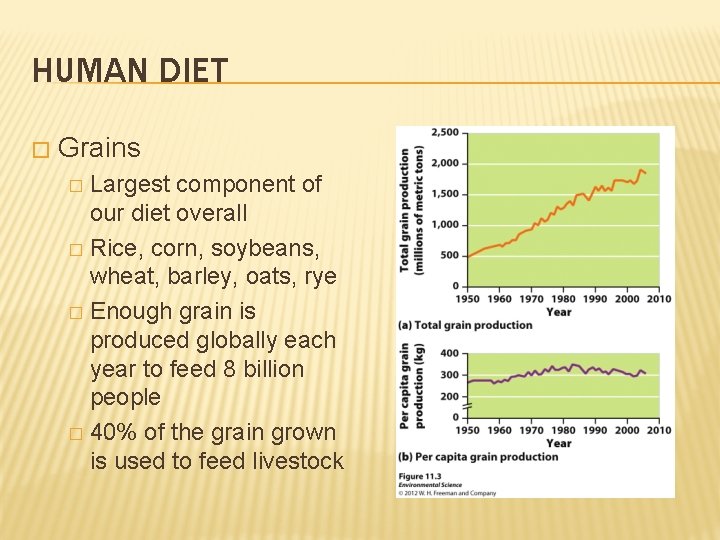 HUMAN NUTRITION 10 000 years ago Humans were