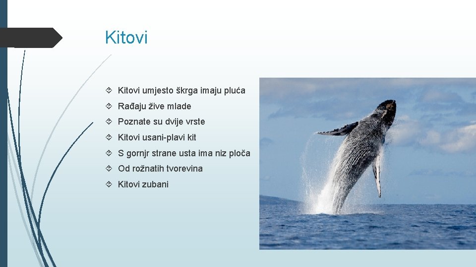 BIOLOGIJA RAZRED VIIIosmi Datum 28 04 2020 god