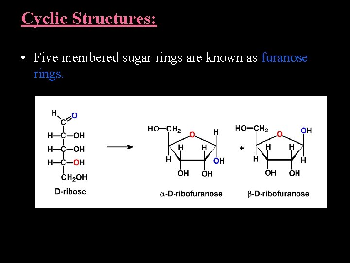CARBOHYDRATES General Information Carbohydrates are the most abundant