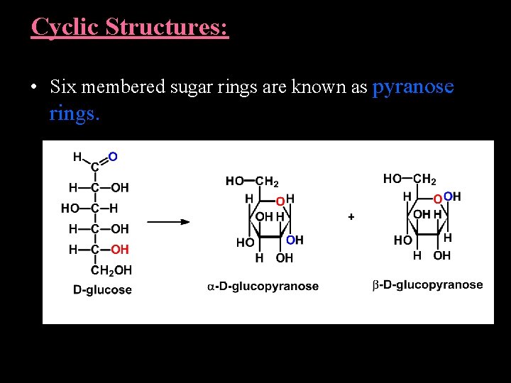 CARBOHYDRATES General Information Carbohydrates are the most abundant