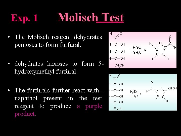CARBOHYDRATES General Information Carbohydrates are the most abundant