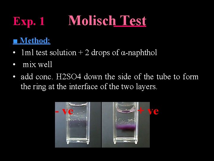 CARBOHYDRATES General Information Carbohydrates are the most abundant