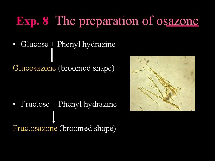 CARBOHYDRATES General Information Carbohydrates are the most abundant