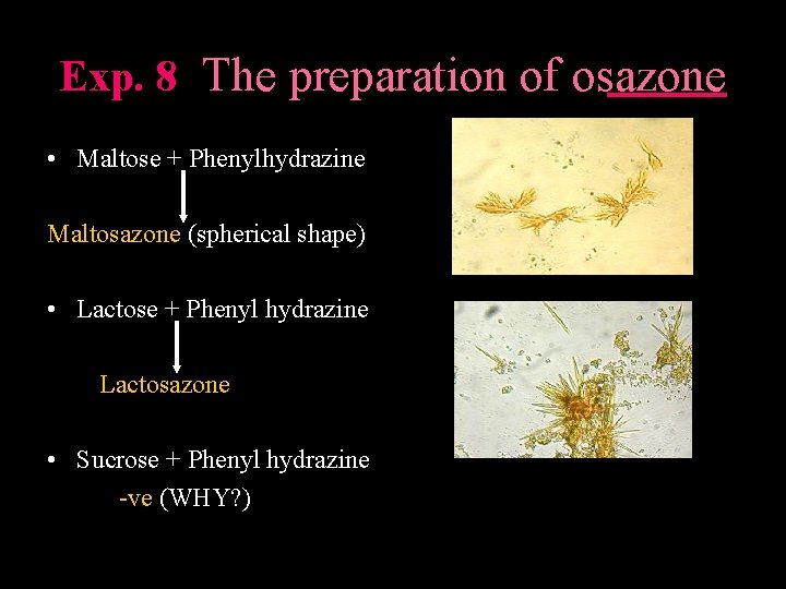 CARBOHYDRATES General Information Carbohydrates are the most abundant