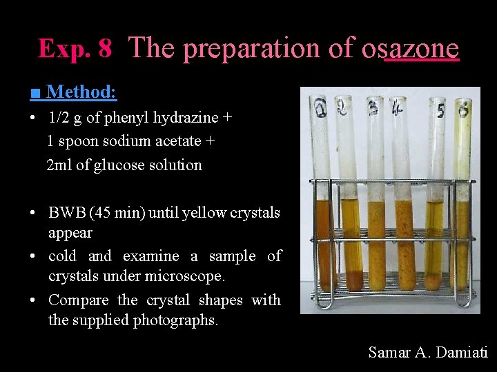 CARBOHYDRATES General Information Carbohydrates are the most abundant