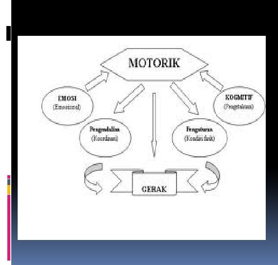 BIOPSIKOLOGI 5 Sistem Sensorimotorik 2020 Maqhfirah DR S