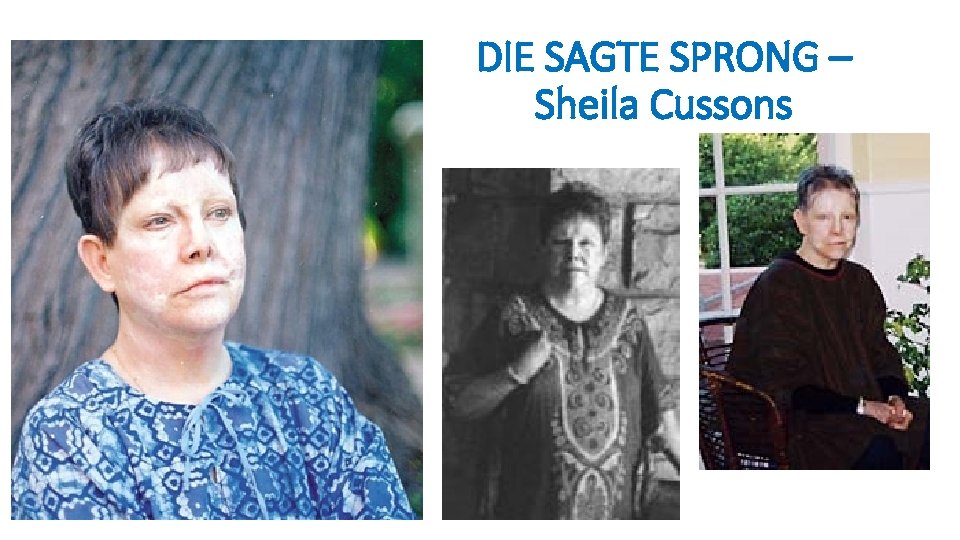 DIE SAGTE SPRONG Sheila Cussons DIE SAGTE SPRONG