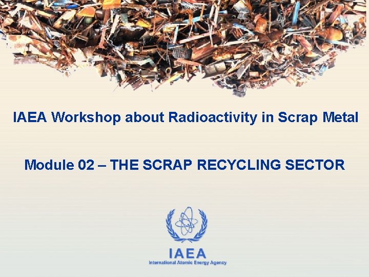 IAEA Workshop about Radioactivity in Scrap Metal Module
