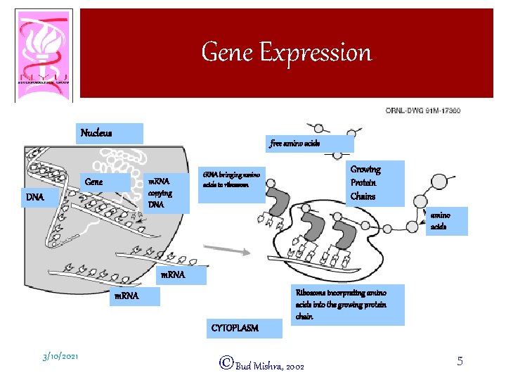 Special Topics in Computational Biology Lecture 6 Single
