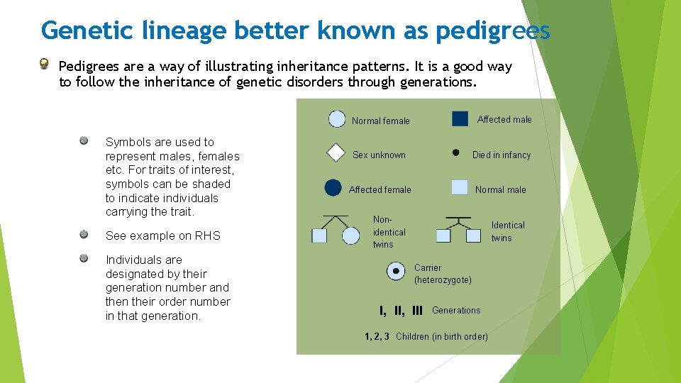ASSET GRADE 12 LIFE SCIENCES REVISION 2020 GENETICS