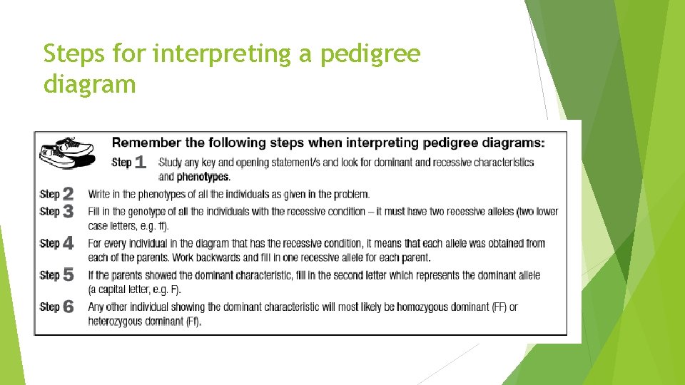 ASSET GRADE 12 LIFE SCIENCES REVISION 2020 GENETICS