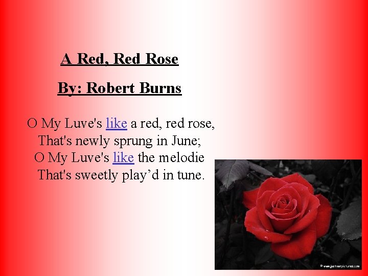 8 th Grade Poetry Project By Megan Marcinkowska