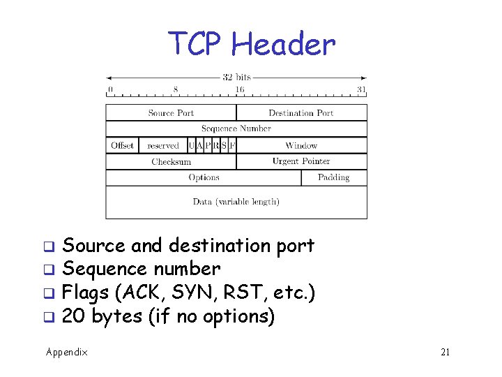 Networking Basics Appendix 1 Network q Includes o