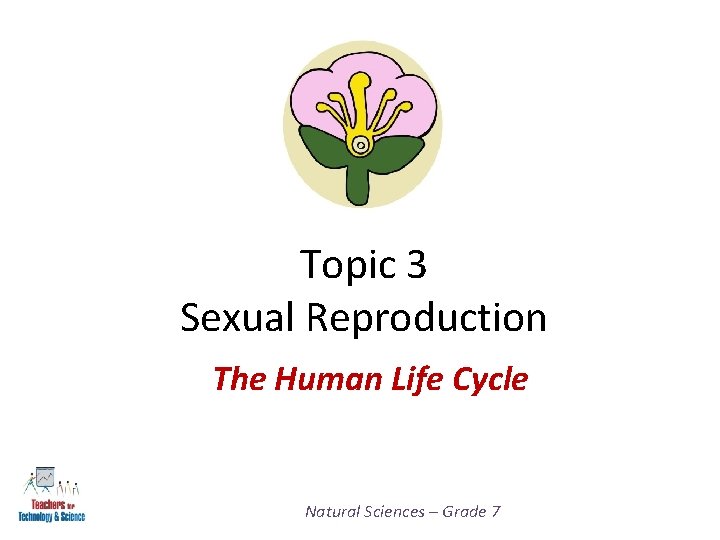Natural Sciences Grade 7 Term 1 Life and