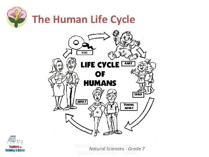 Natural Sciences Grade 7 Term 1 Life and