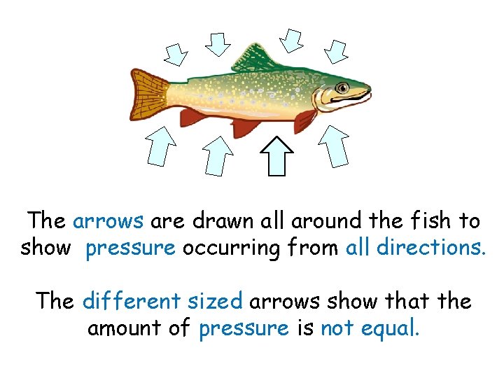 Pressure in Liquids Learning objectives Describe how liquid