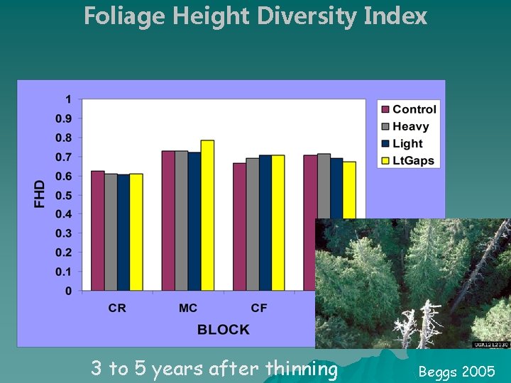 Applying Density Management to Develop Late Successional Features