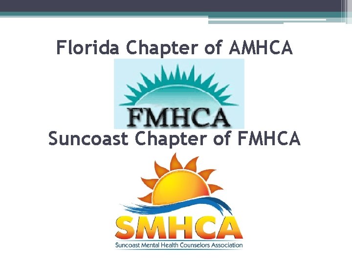 Professionalism and Beyond as Clinical Mental Health Counselors