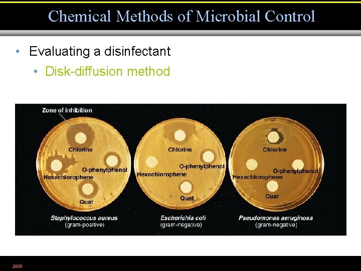 MICROBIOLOGY Chapter 7 The Control of Microbial Growth